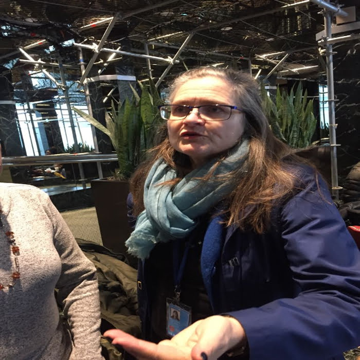 Atentado a la democracia, violencia contra mujeres periodistas ...