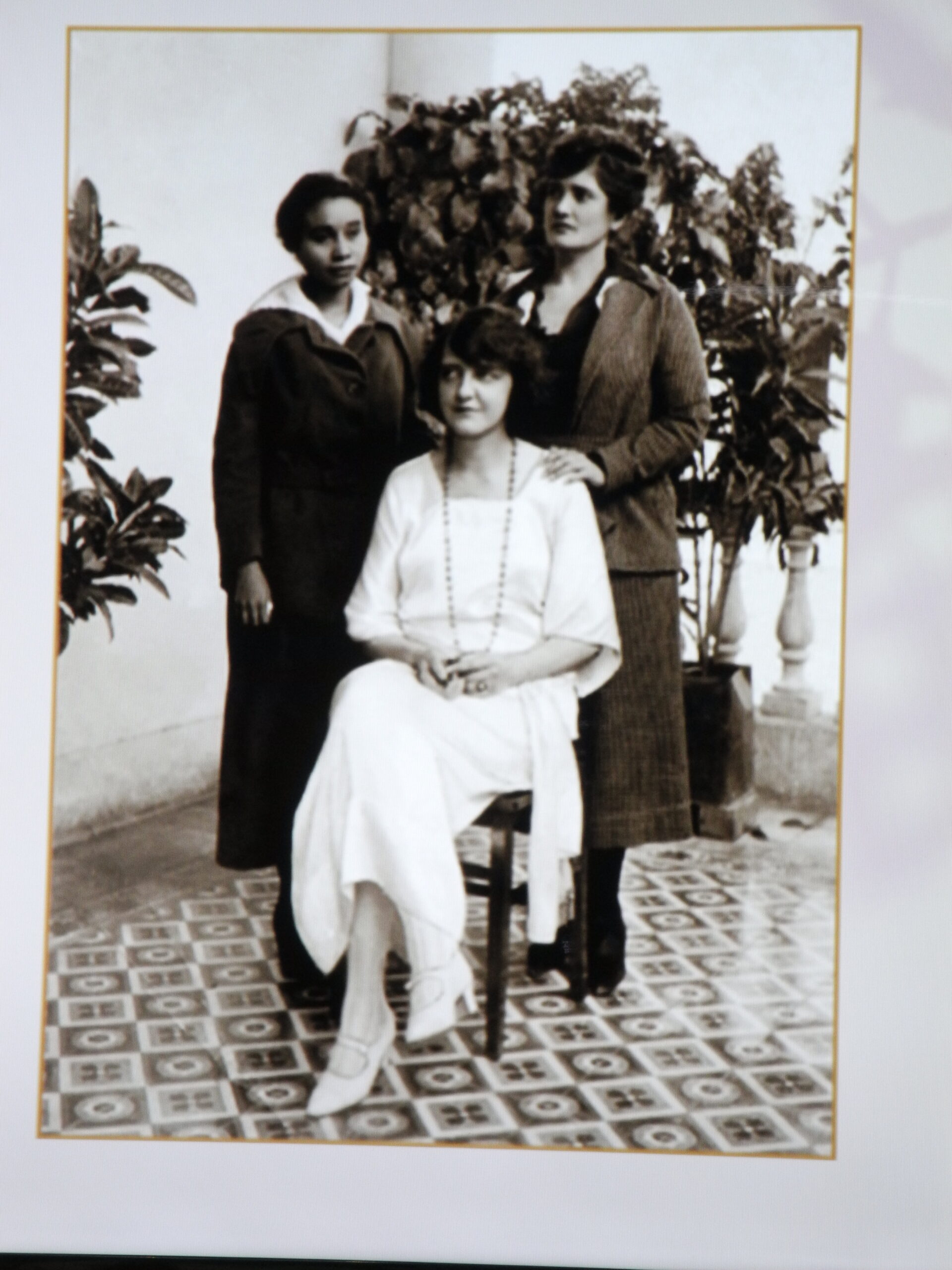 Elvia Carillo Puerto, pionera feminista e impulsora del sufragio para ...