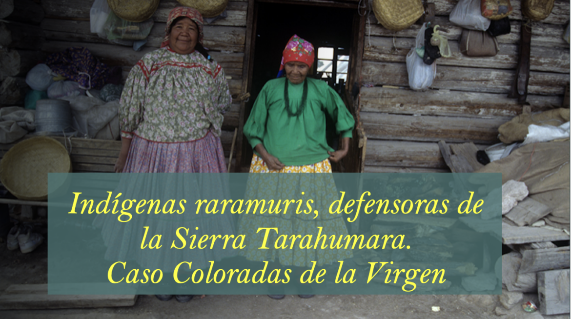 Indígenas raramuris, defensoras de la Sierra Tarahumara. Caso Coloradas ...